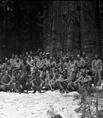 THE POST-WAR FATE OF THE WORLD'S PROTECTED AREAS: CONSERVATION WITH ...